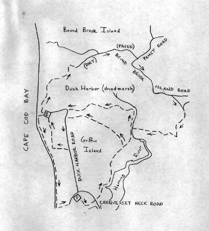 Trails in Wellfleet, Massachusetts